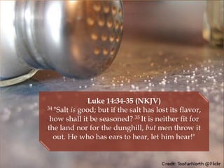 Salt Of The Earth | PDF