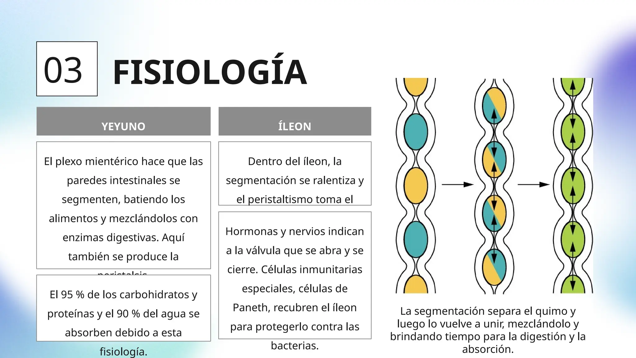 SALTOS_Y_SUANGO_y_sepu[1].pptx--[1].pptx