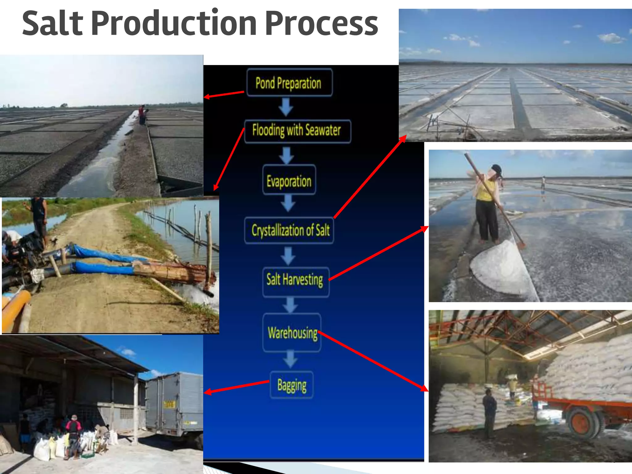 Salt presentation department of science and technology philippines | PPTX
