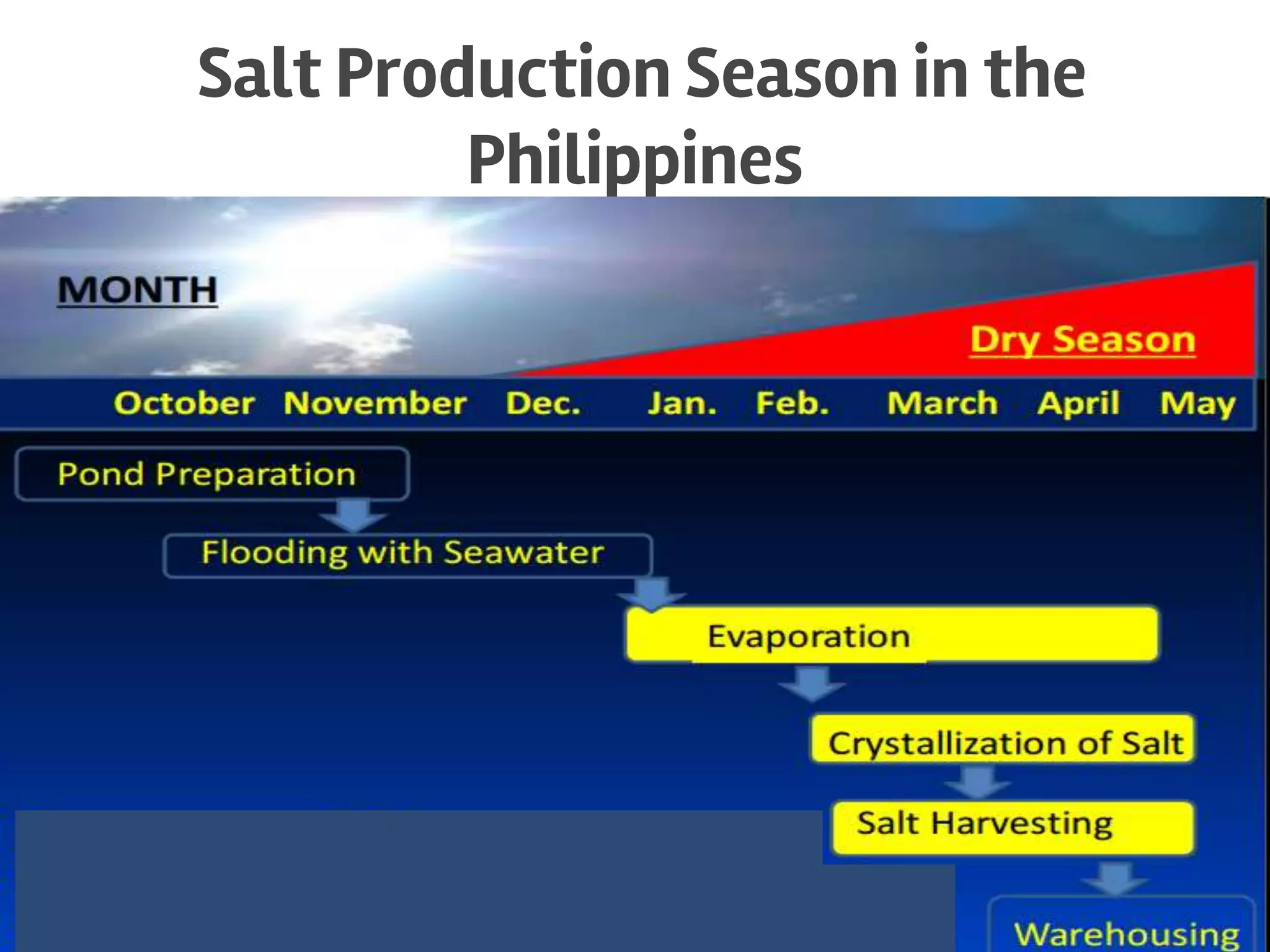 Salt presentation department of science and technology philippines | PPTX