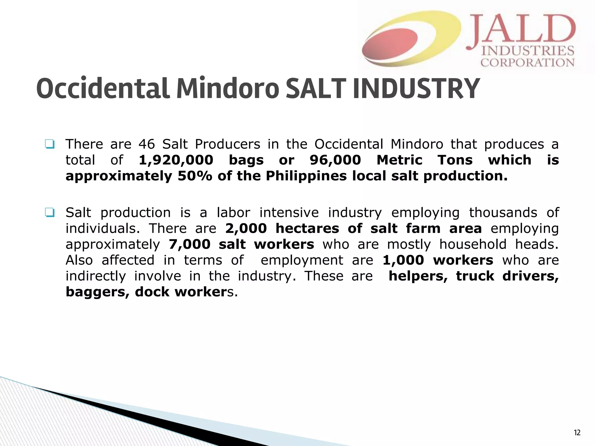 Salt presentation department of science and technology philippines | PPTX