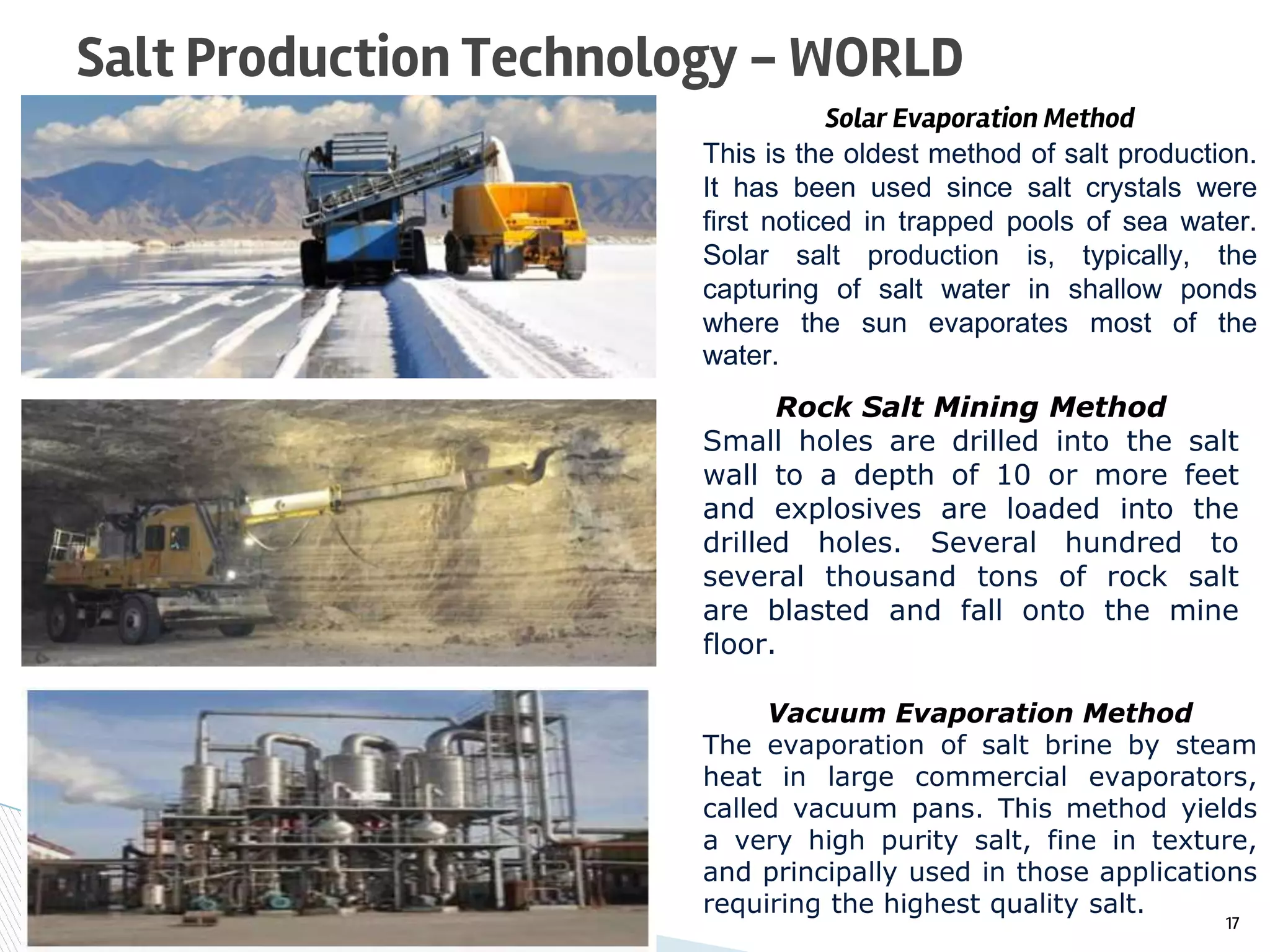 Salt presentation department of science and technology philippines | PPTX