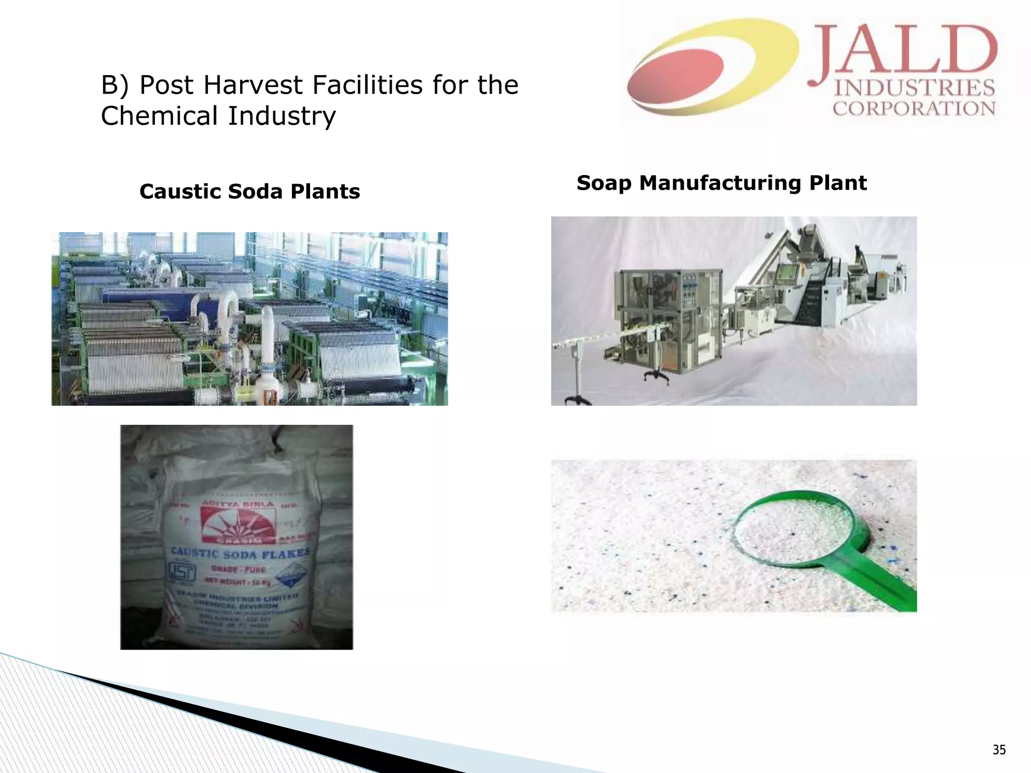 Salt presentation department of science and technology philippines | PPTX