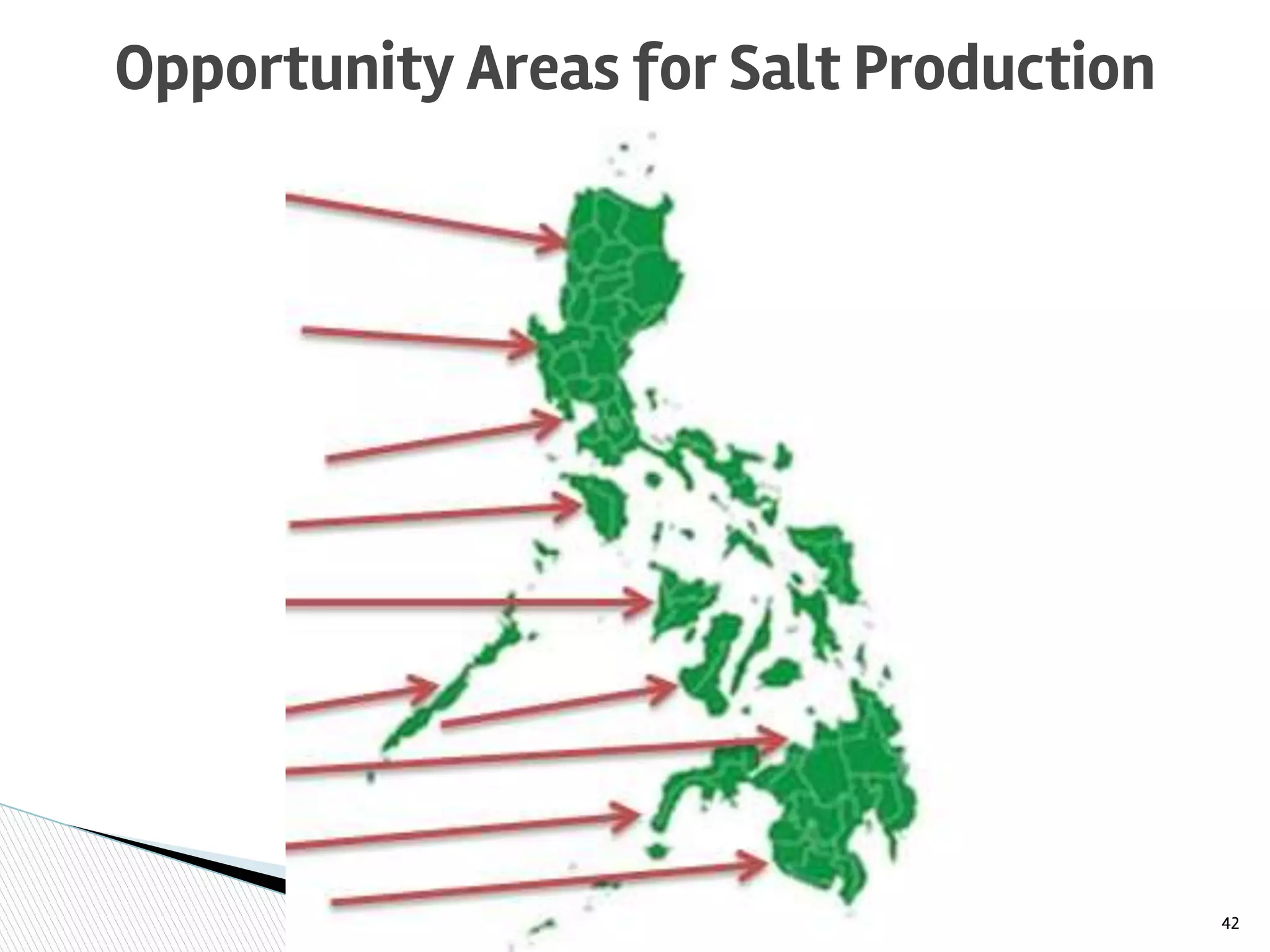Salt presentation department of science and technology philippines | PPTX