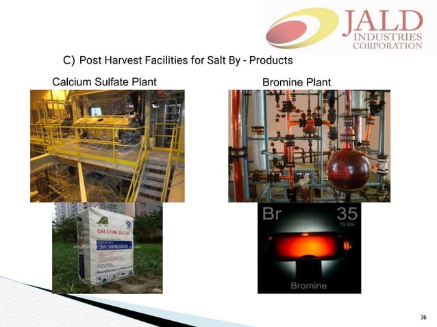 Salt presentation department of science and technology philippines ...