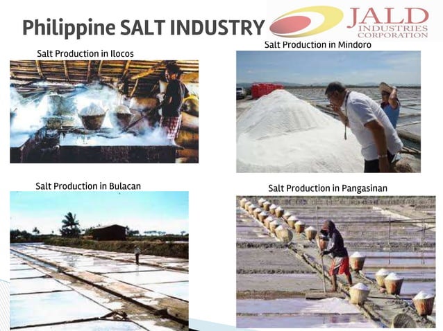 Salt presentation department of science and technology philippines ...