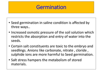 Salt stress | PPTX