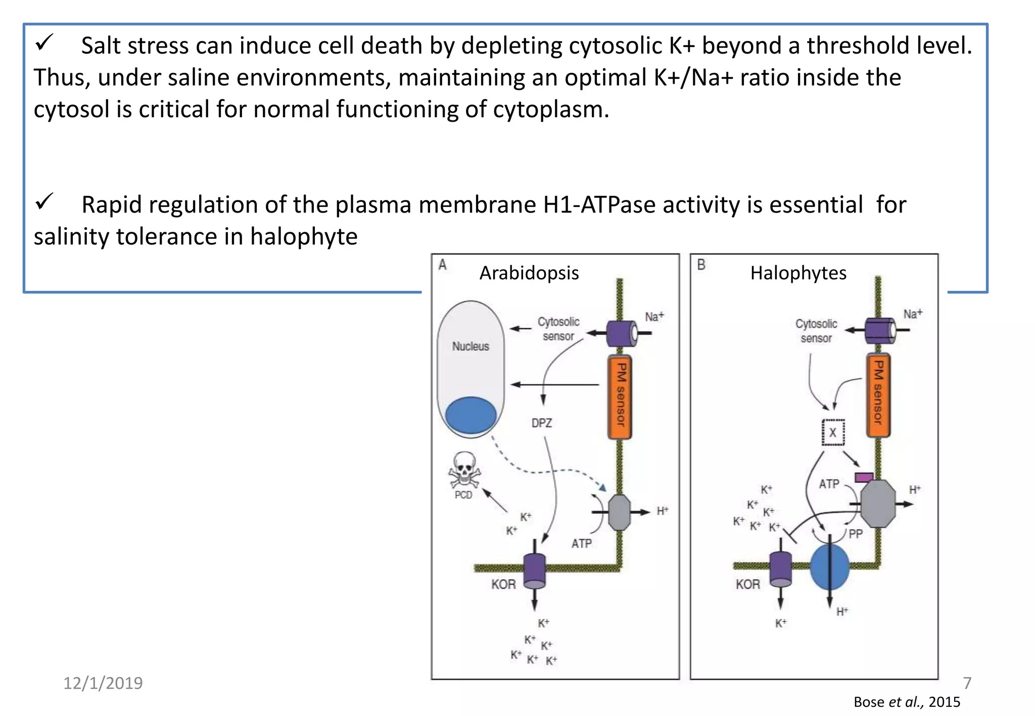 Salt stressRole of Organelle Membranes in Salt Stress Sensing and ...