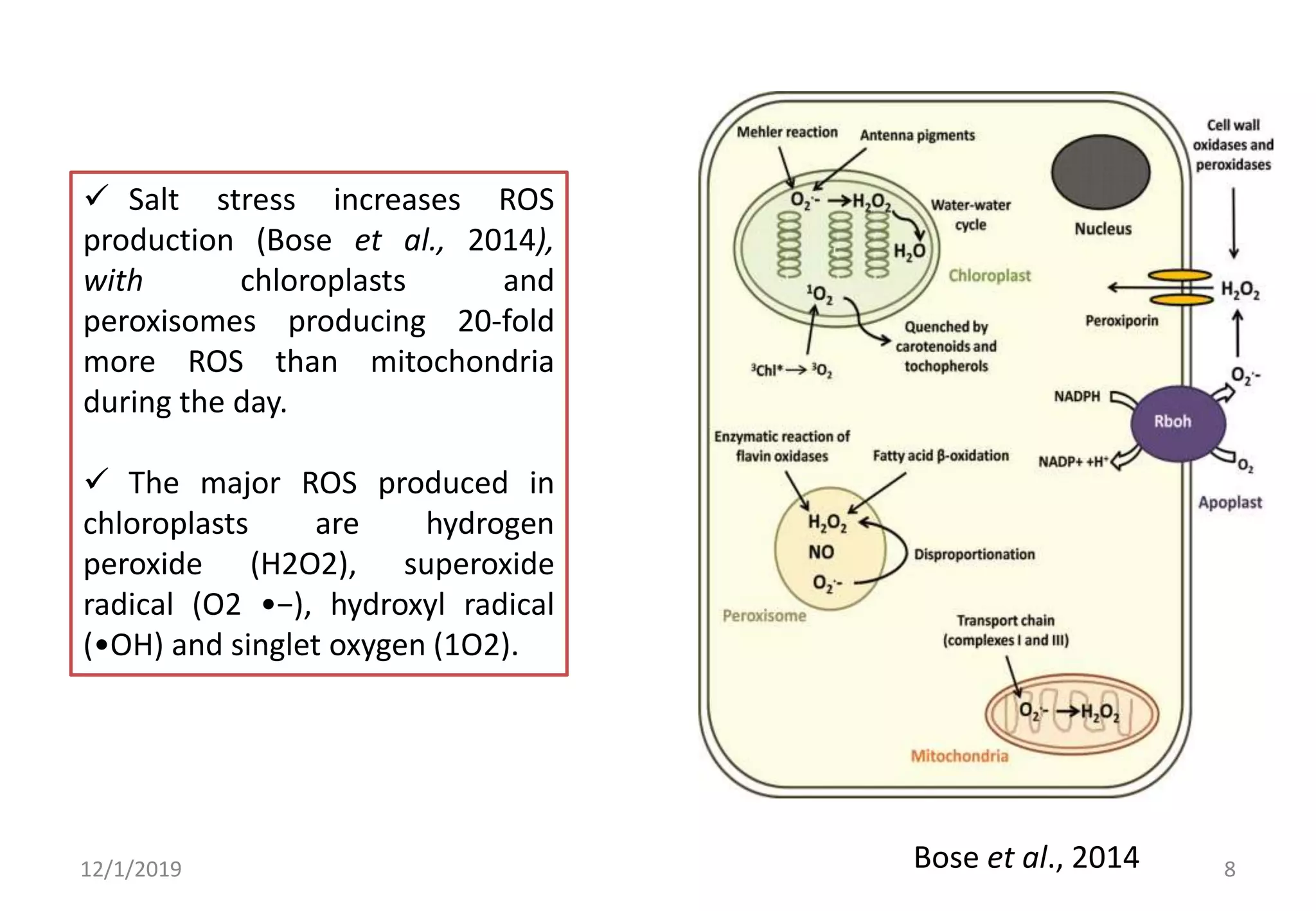 Salt stressRole of Organelle Membranes in Salt Stress Sensing and ...