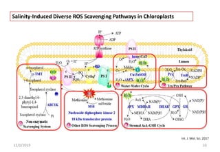 Salt stressRole of Organelle Membranes in Salt Stress Sensing and ...