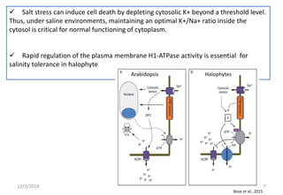 Salt stressRole of Organelle Membranes in Salt Stress Sensing and ...