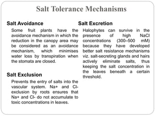 Salt stress in fruit | PPTX