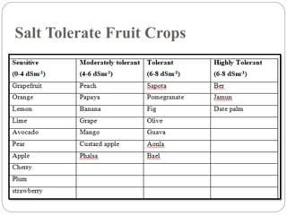 Salt stress in fruit | PPTX