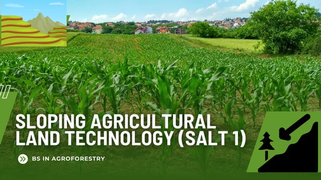 SALT SYSTEM 1&2- Sloping Agricultural Land Technology and Simple Agro ...