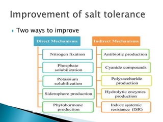 Salt tolerance crops | PPTX