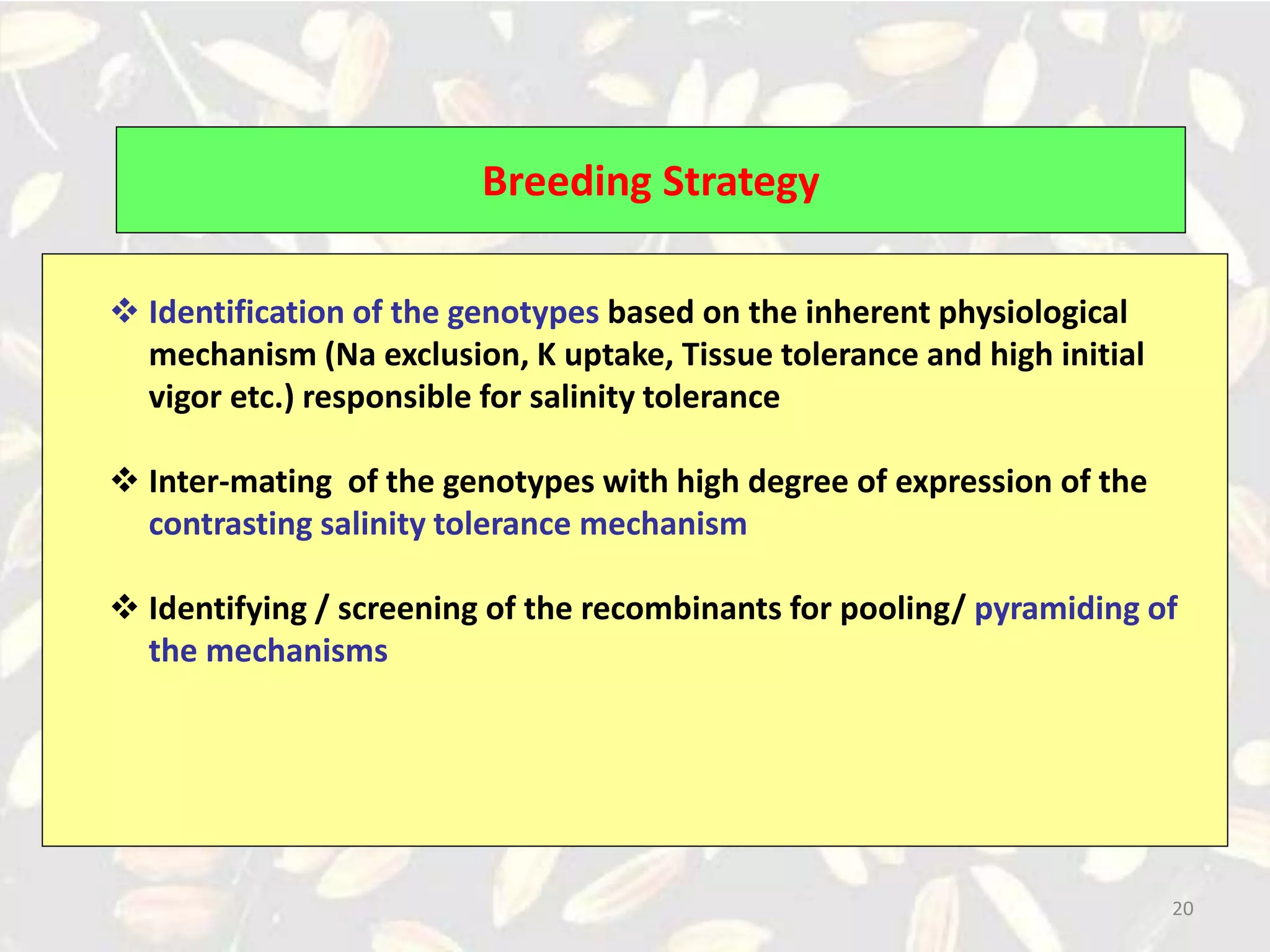 Breeding for Salt tolerance | PPTX