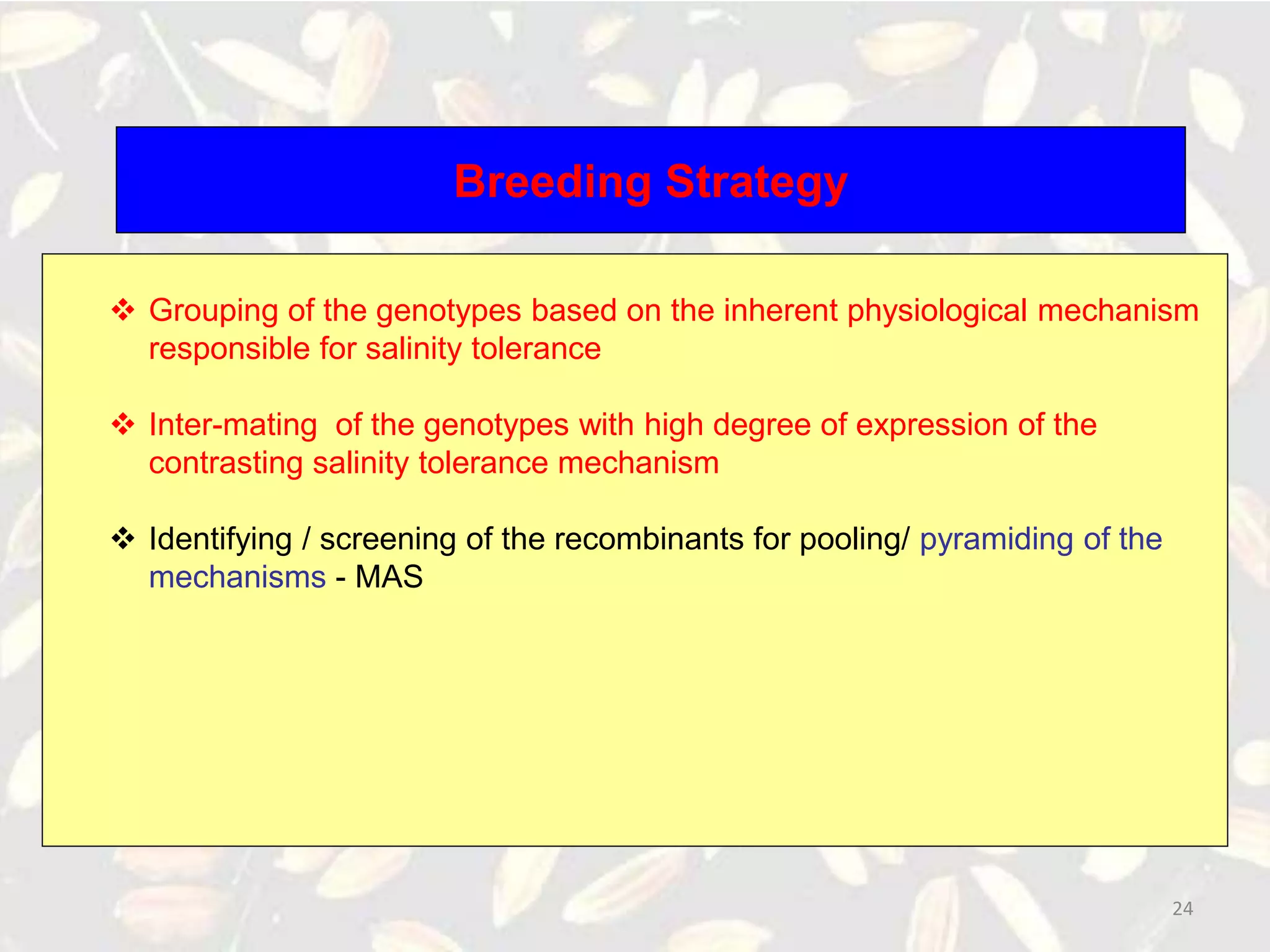 Breeding for Salt tolerance | PPTX