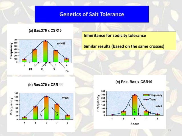 Breeding for Salt tolerance | PPT