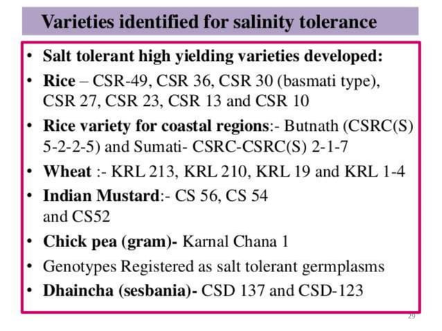 Breeding for Salt tolerance | PPT