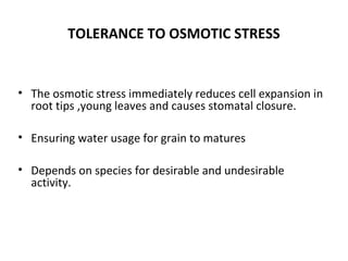 Salt tolerance in Halophytes & Glycophytes | PPT