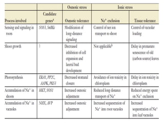 Salt tolerance in Halophytes & Glycophytes | PPT