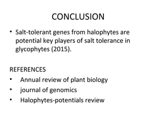 Salt tolerance in Halophytes & Glycophytes | PPT