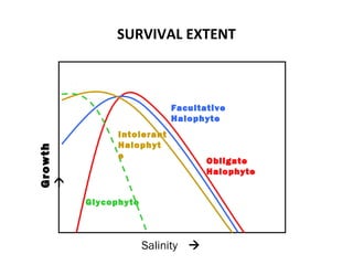 Salt tolerance in Halophytes & Glycophytes | PPT