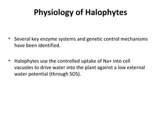 Salt tolerance in Halophytes & Glycophytes | PPT | Gardening | Home ...