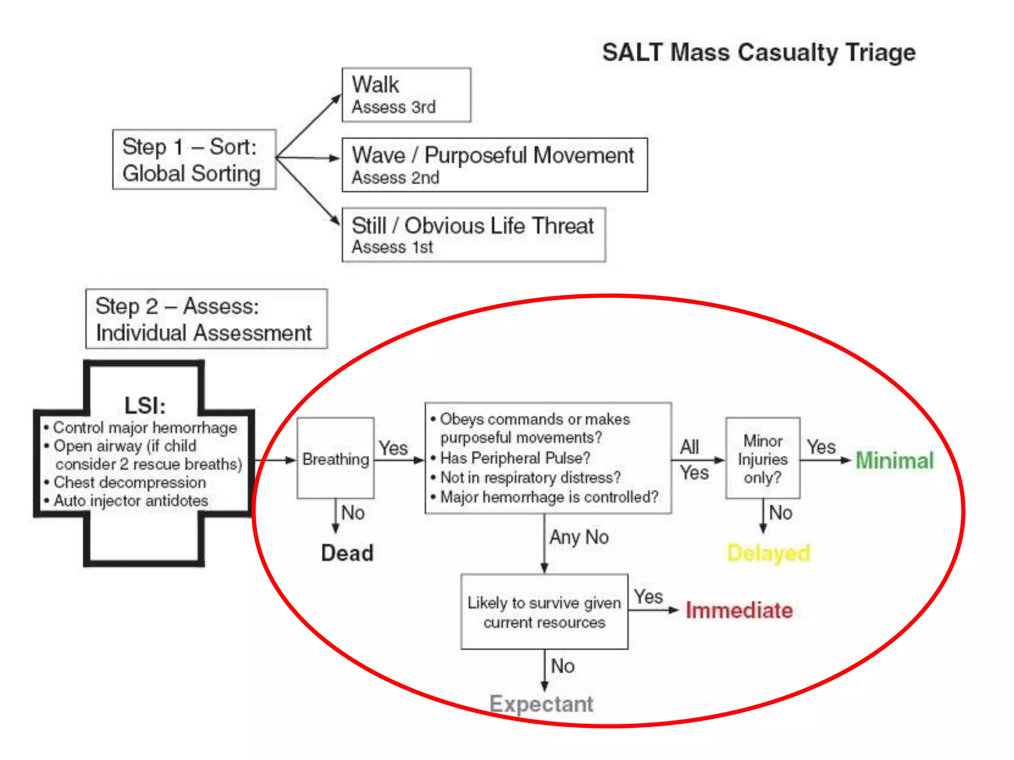 SALT_Triage_Powerpoint.ppt