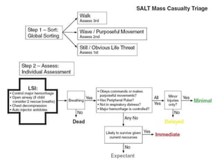 SALT_Triage_Powerpoint.ppt