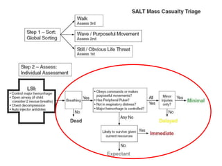 SALT_Triage_Powerpoint.ppt