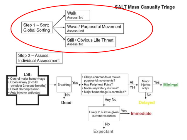 SALT_Triage_Powerpoint PARA HACER SELECCION DE PACIENTES | PPT