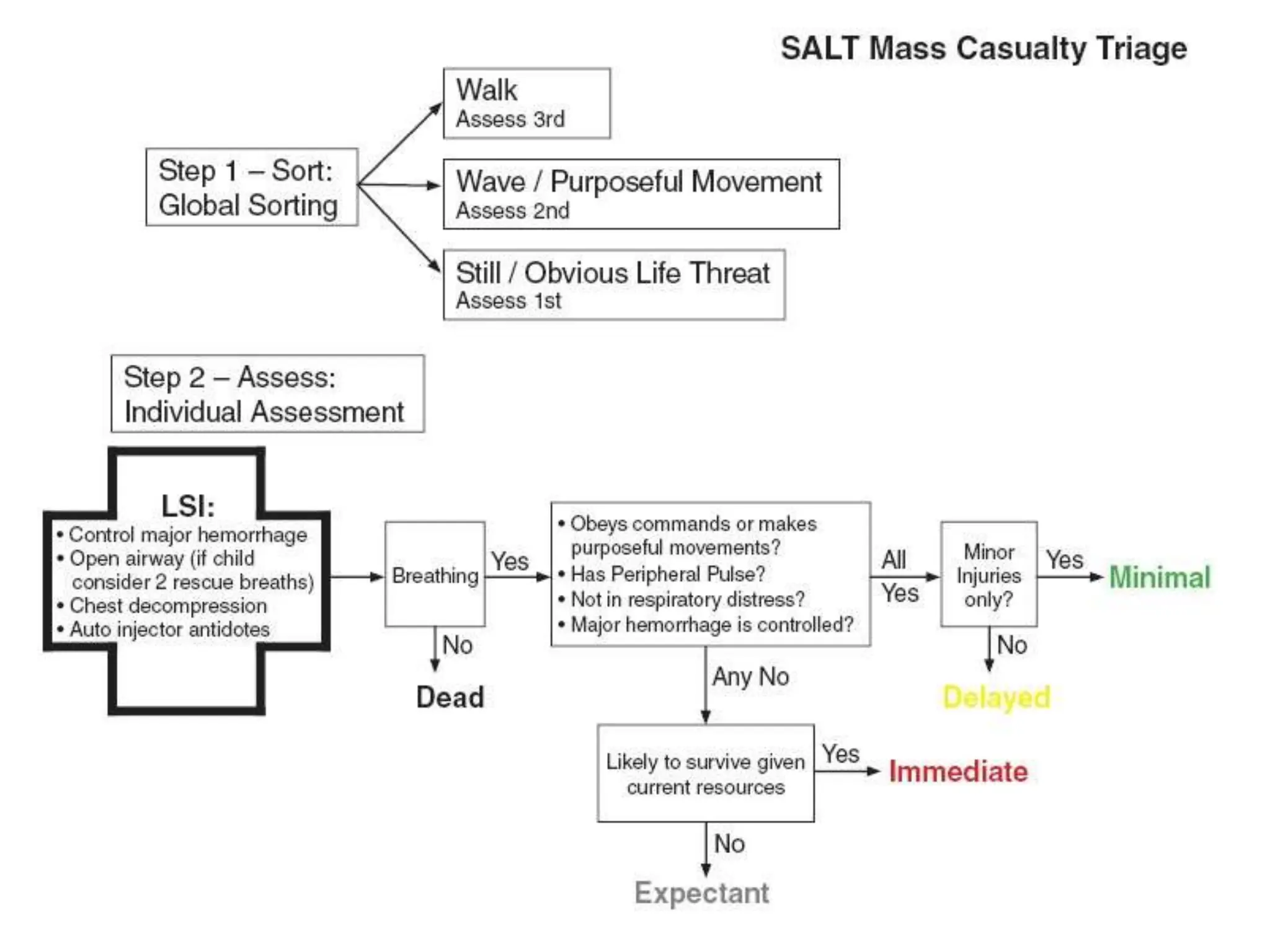 Salt Triage Prehospitalario y para atención de masas | PPT