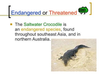 Saltwater crocodile | PPT