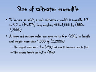 Saltwater crocodile | PPT