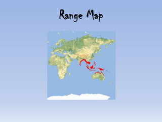 Saltwater Crocodile Habitat Map