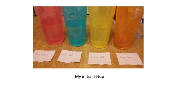 Salt water experiment | PPT
