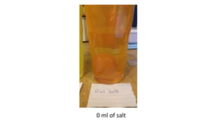 Salt water experiment | PPTX