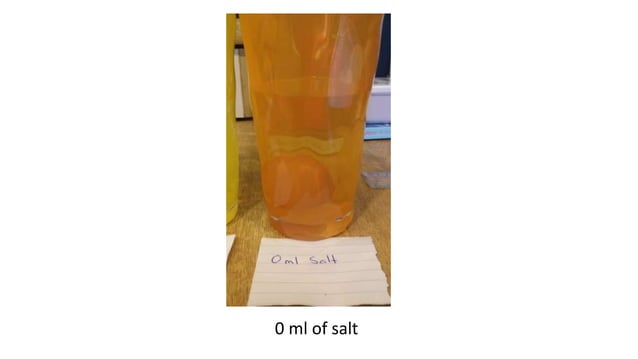 Salt water experiment | PPTX