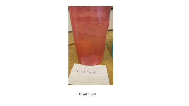 Salt water experiment | PPT
