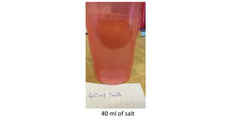 Salt water experiment | PPTX