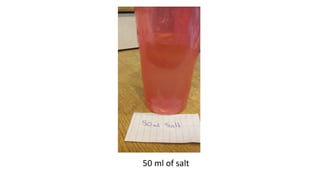 Salt water experiment | PPTX