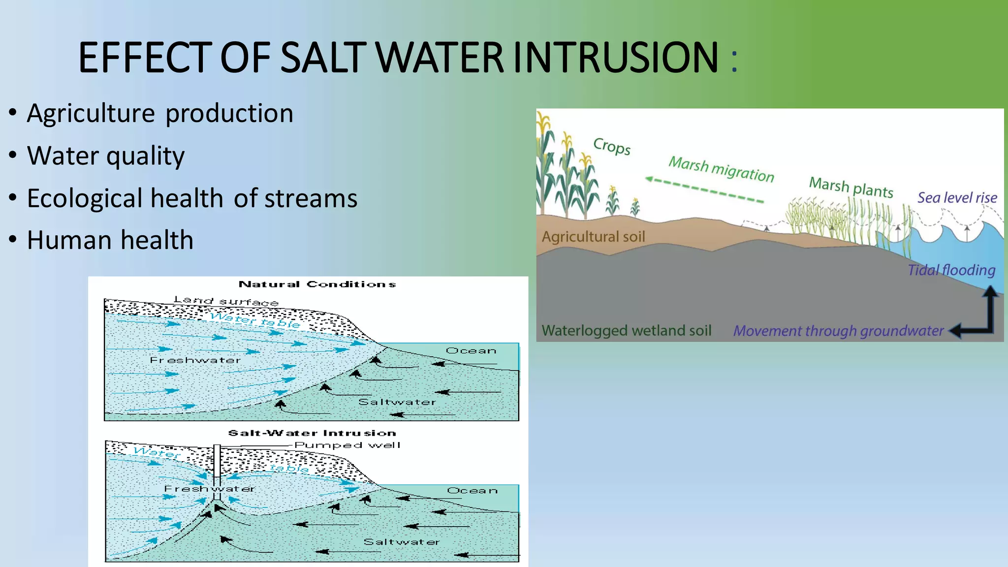 Saltwater intrusion | PDF