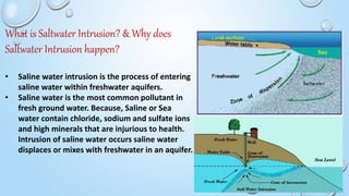 Saltwater Intrusion