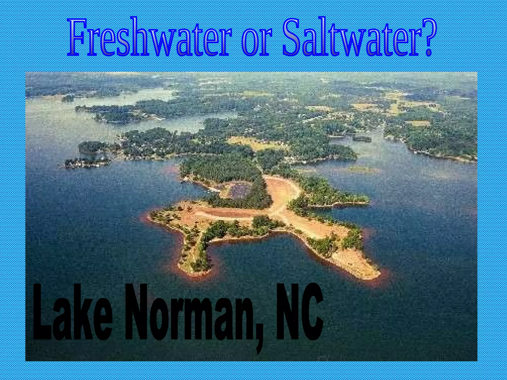 Saltwater vs. Freshwater | PPT