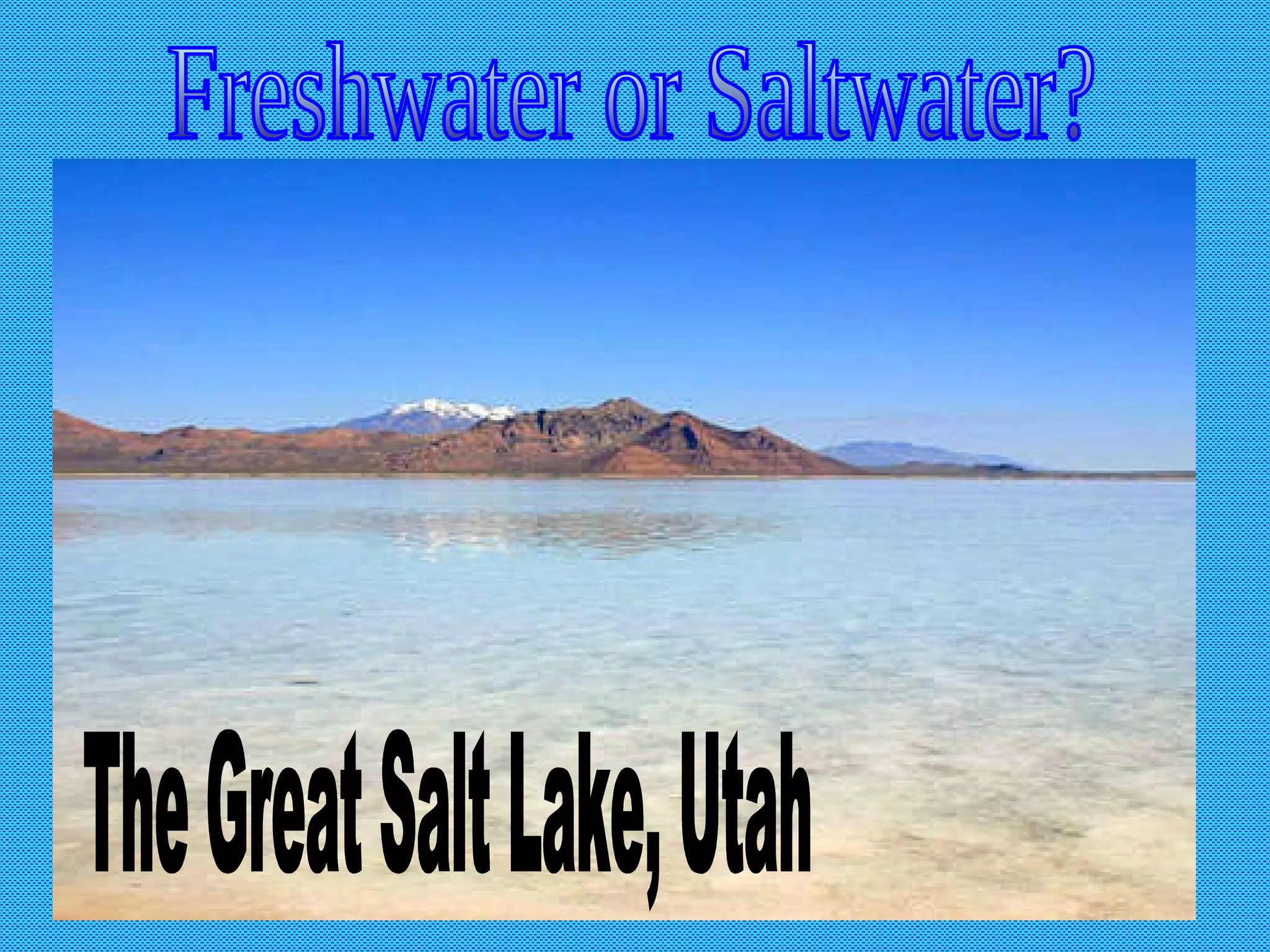 Saltwater vs. Freshwater | PPT