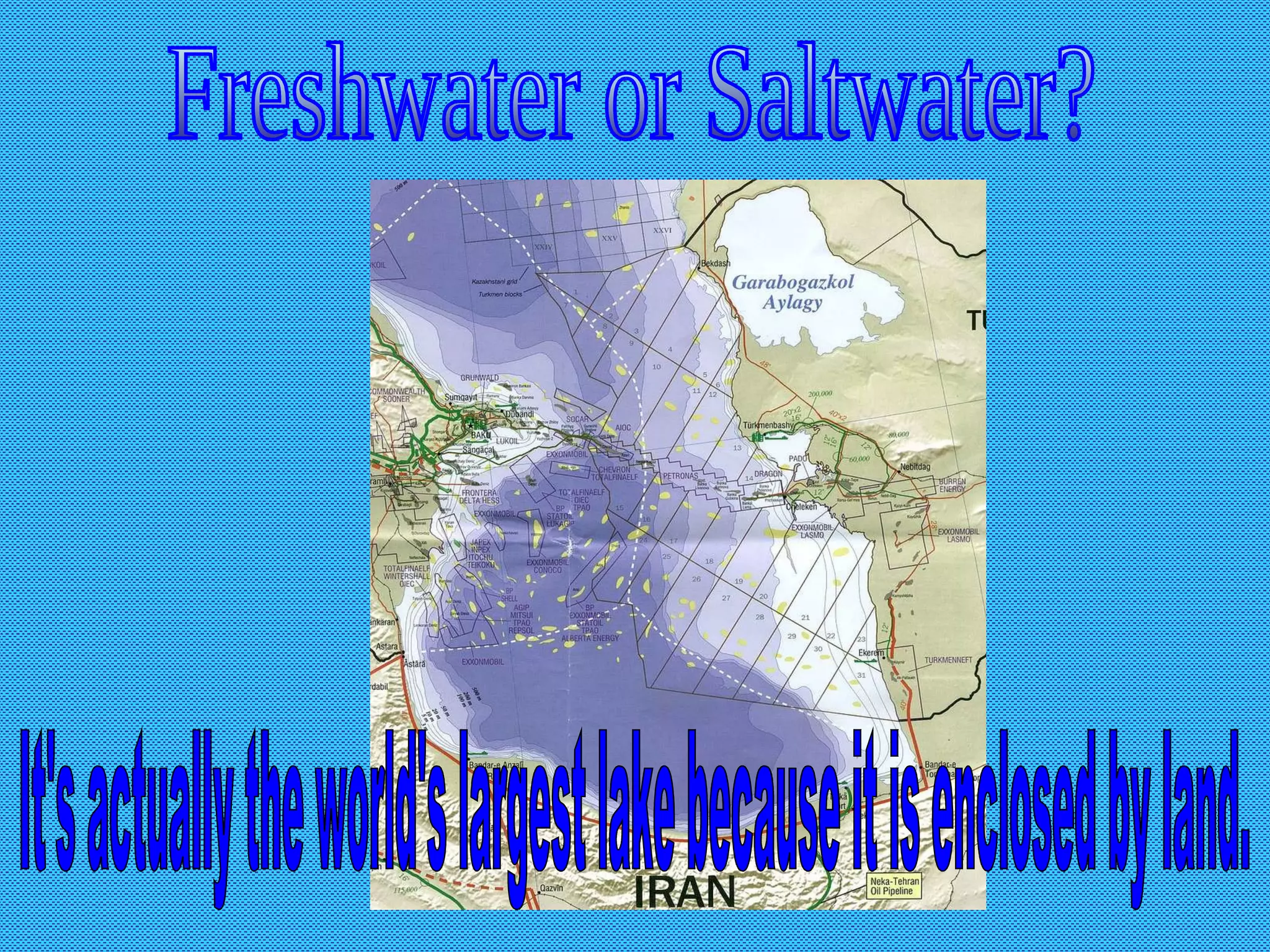 Saltwater vs. Freshwater | PPT