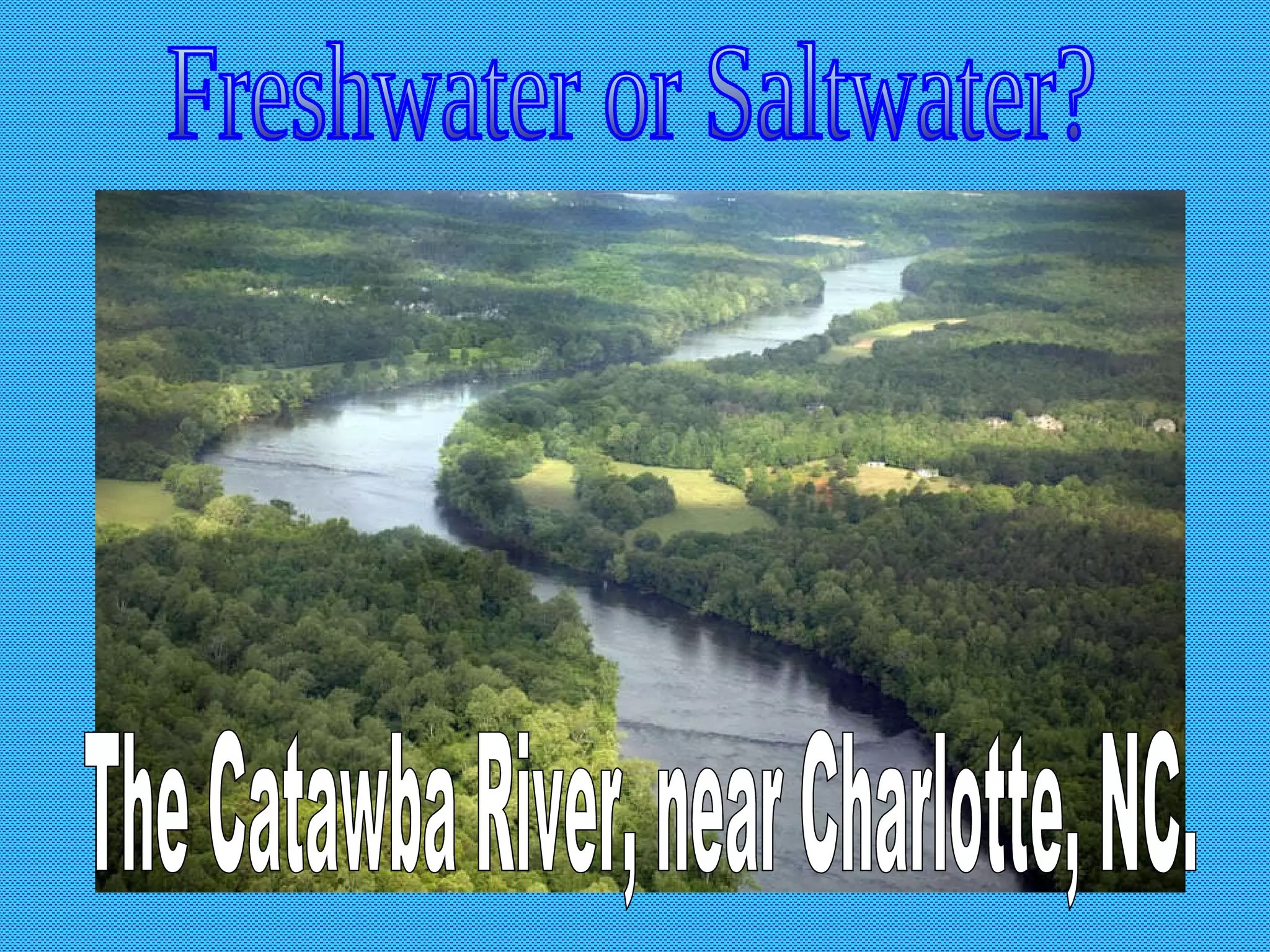Saltwater vs. Freshwater | PPT