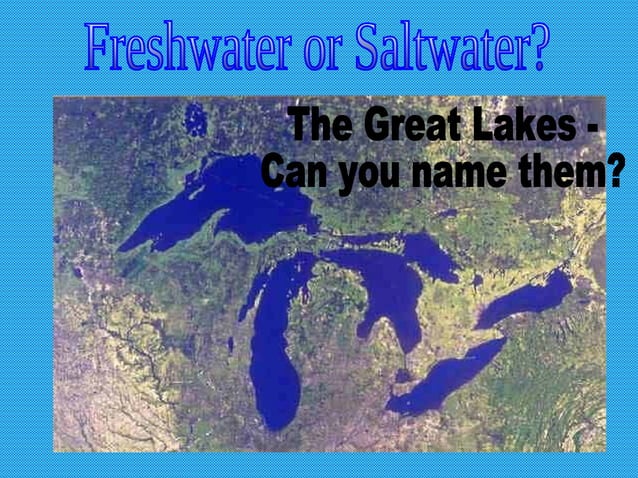 Saltwater vs. Freshwater | PPT