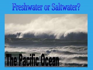 Saltwater vs. Freshwater | PPT